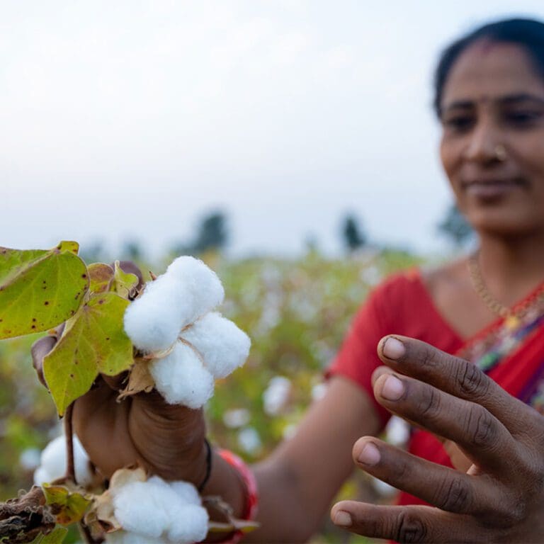 OCA’s collaboration on social and farm level data - Organic Cotton ...