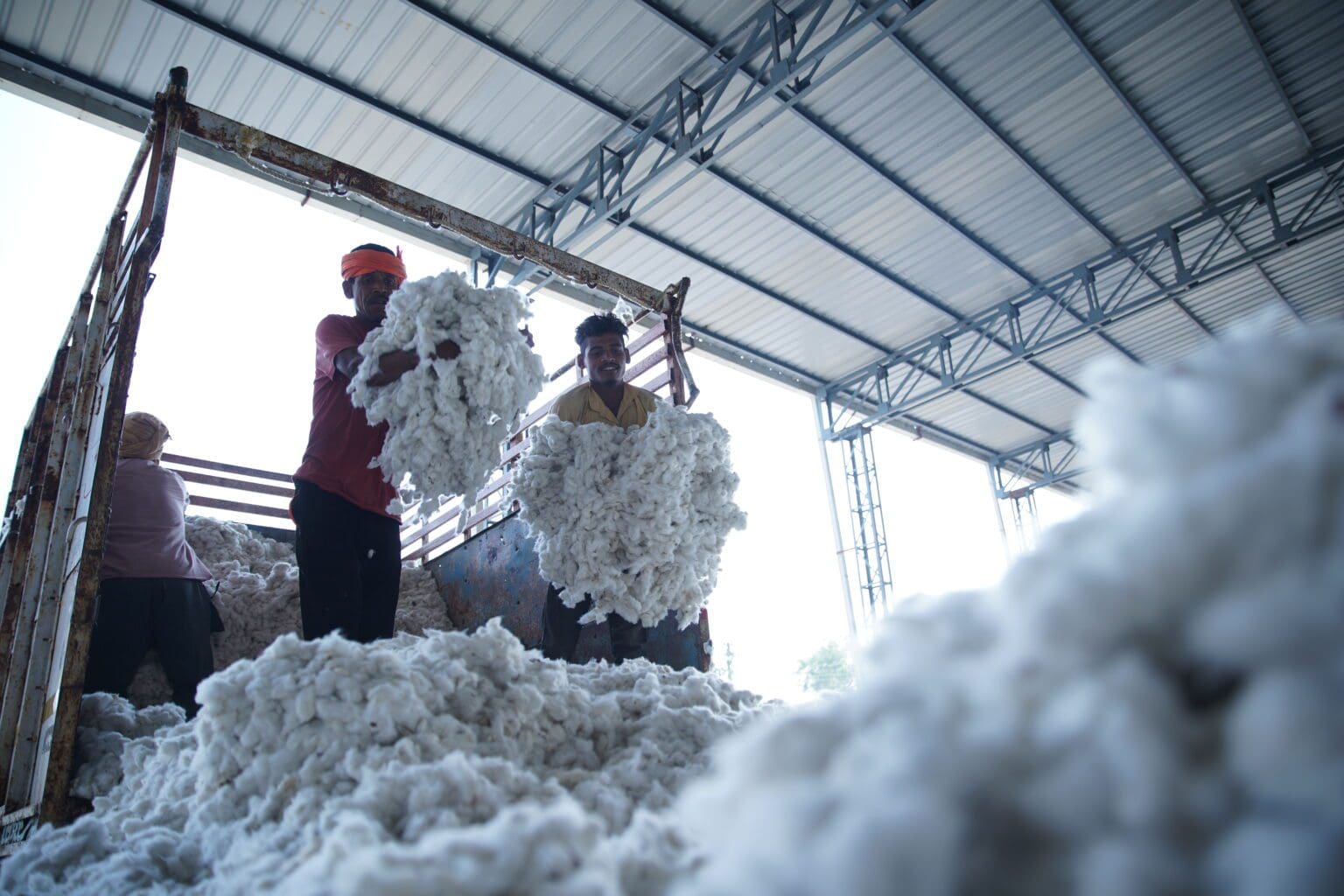 Organic Cotton Training Curriculum Organic Cotton Accelerator