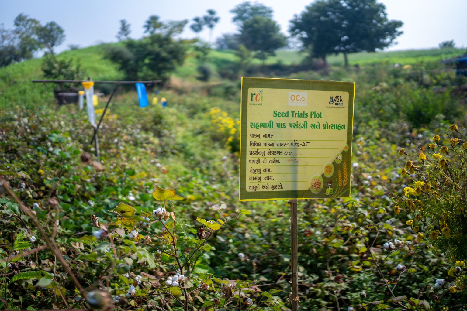 Investments boosting regenerative organic cotton practices in OCA’s ...