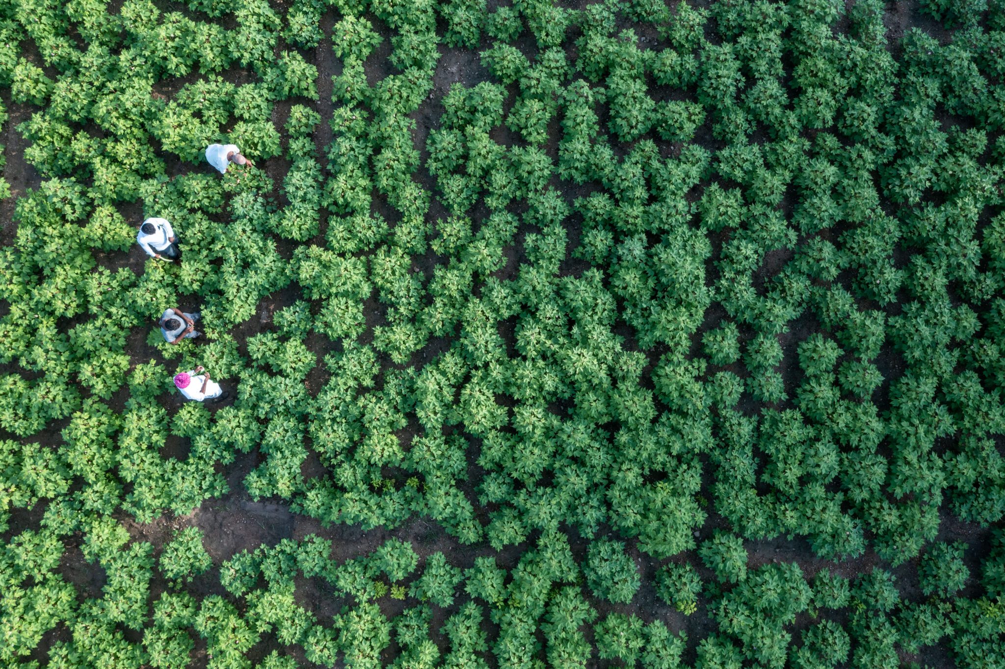 Building trust from the ground up with data, impact, and credible ...