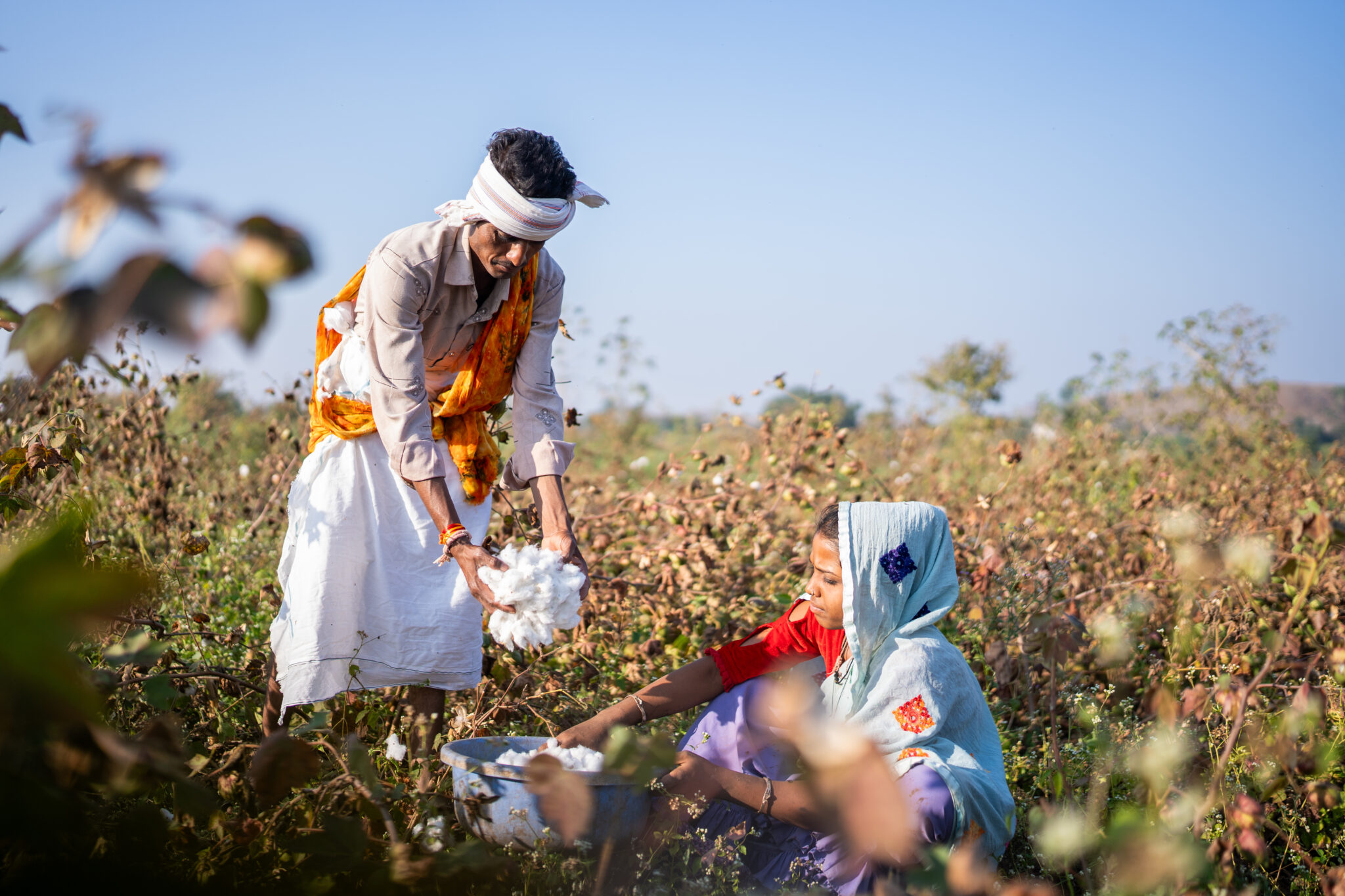 OCA and RPLC join forces to advance regenerative and organic farming in ...