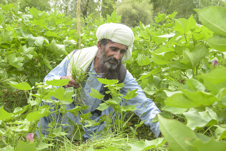 OCA launches Decent Work Strategy to improve working conditions for ...